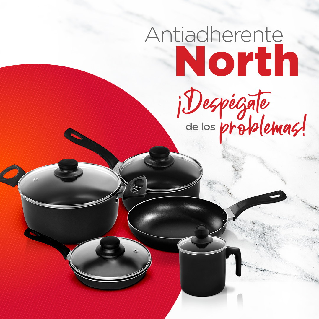 Inicio - Grupo North